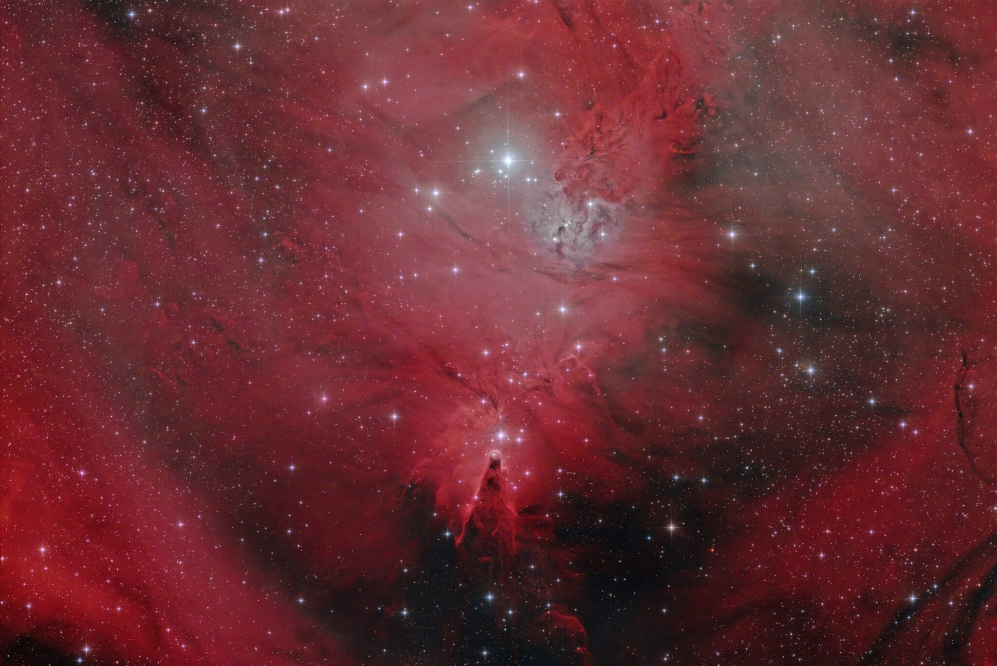 NGC 2264 – Une plongée spectaculaire au cœur du Cône et de l'Arbre de ...